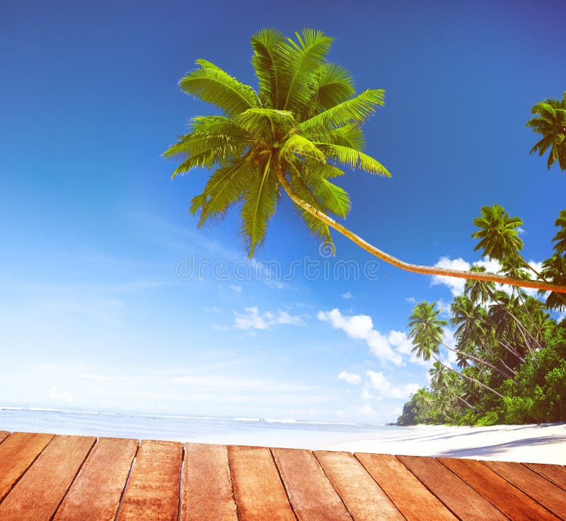 Beach Summer Relaxation Tranquil Scene Concept Stock Photo - Image of ...