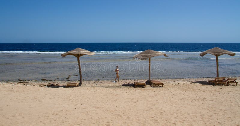Beach editorial photography. Image of summer, egypt, beach - 30673172