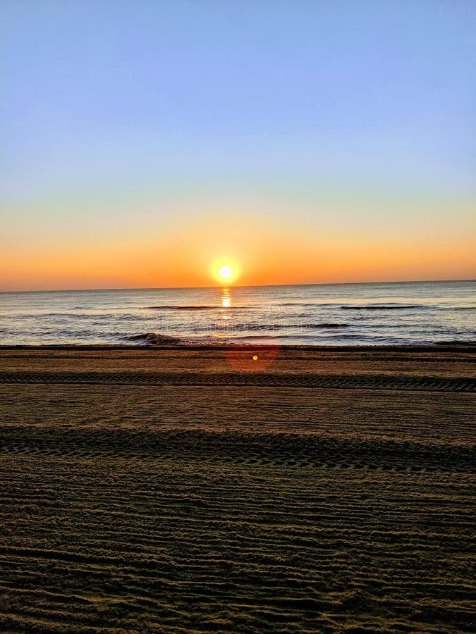 Fresh Sand Lobster or Flathead Lobster or Slipper Lobster (Thenus ...