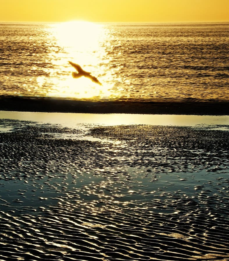 Beach and sunset stock photo. Image of coast, level, coastal - 26038622