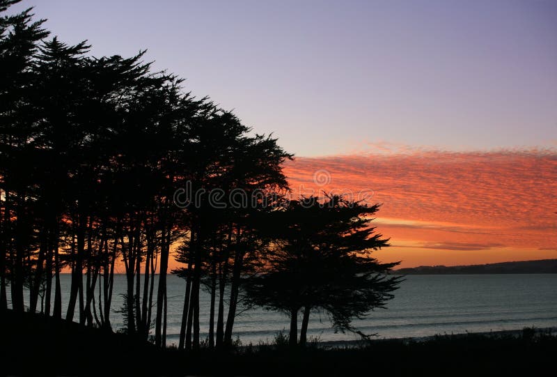 Shell beach stock photo. Image of horizon, coast, dawn - 255044