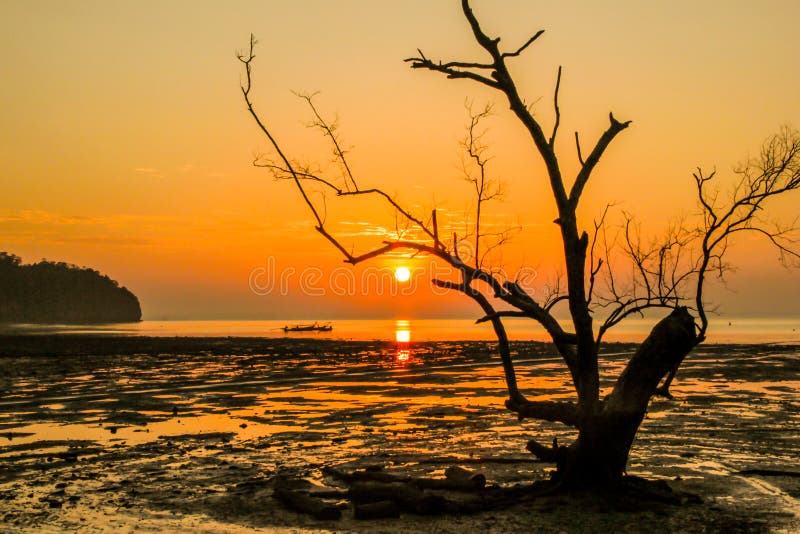 Beach sunset stock image. Image of summer, sunset, dead - 47109707