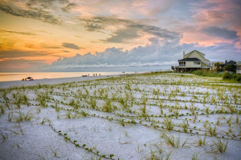 Beach Sunset with Dune Reeds Stock Photo - Image of reeds, shoreline ...
