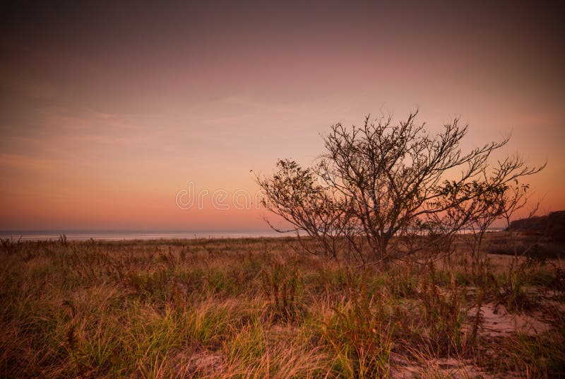 Beach at Sunset in the Fall Stock Photo - Image of beach, oats: 22082352