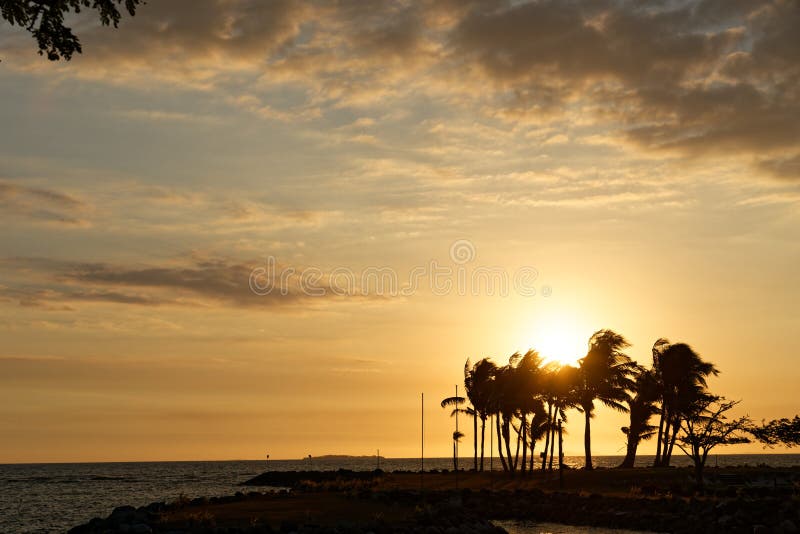 Beach sunset in Fiji stock photo. Image of travel, beach - 127358794