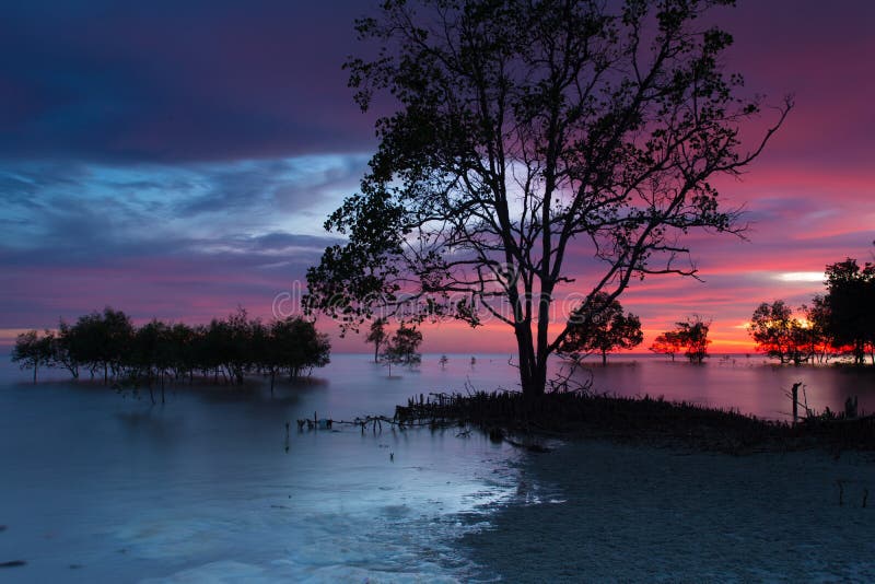 Beach during sunset stock image. Image of cloudy, sunlight - 35915907