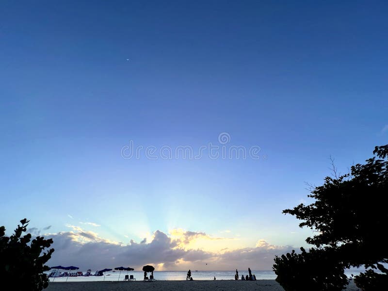 Large Landscape Beach stock photo. Image of ocean, bushes - 265460792