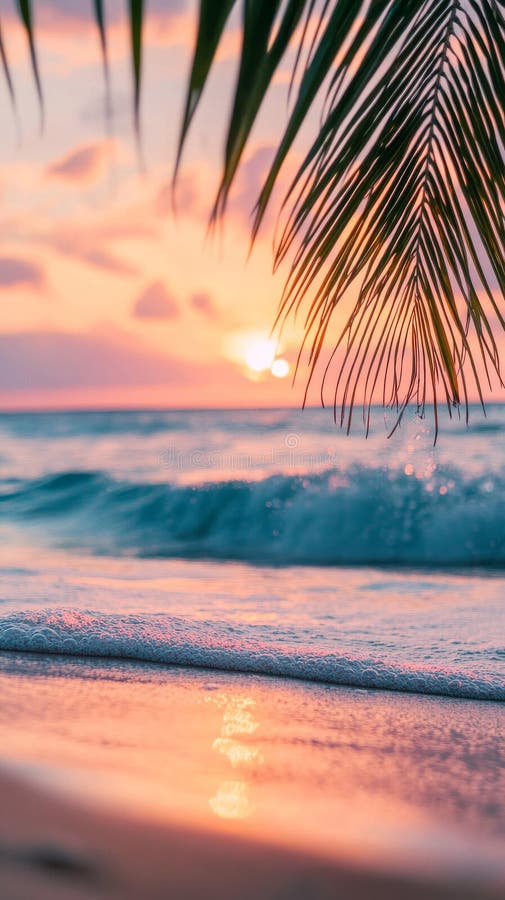 Beach Sunset with Palm Leaves Hugging Sea, Tranquility Concept Stock ...