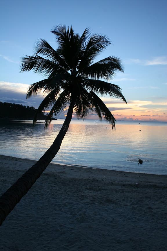 Beach Sunset - Purity stock image. Image of surat, island - 1604255