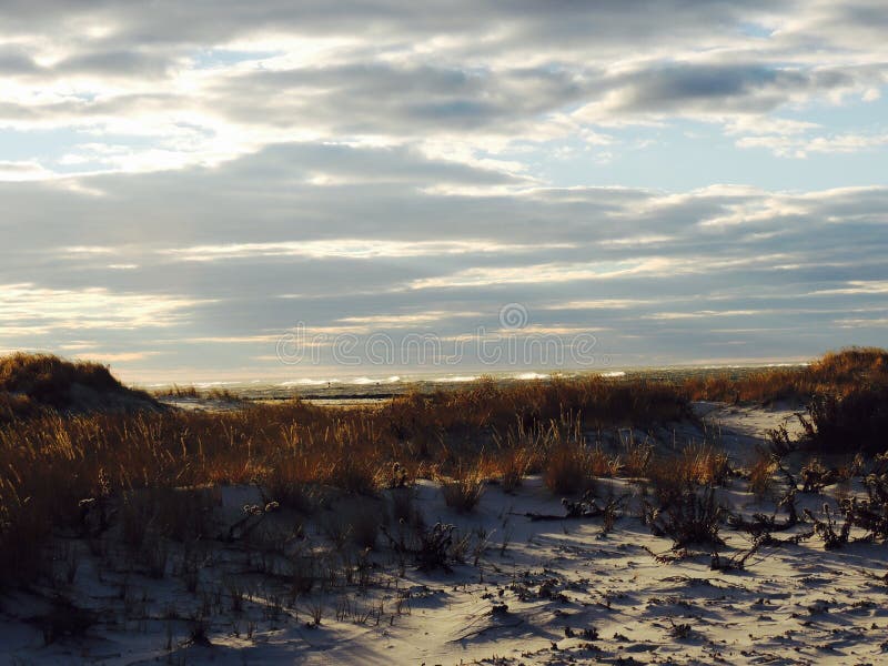 Beach stock photo. Image of wind, scene, sunset, beach - 50332484