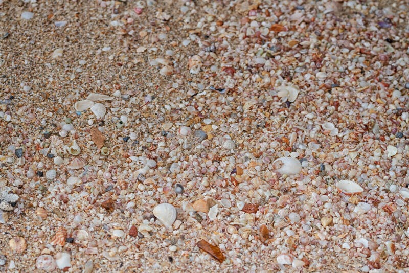 Beach Sea Surface Texture Beautiful Tropical Beach Sand Top View Stock ...
