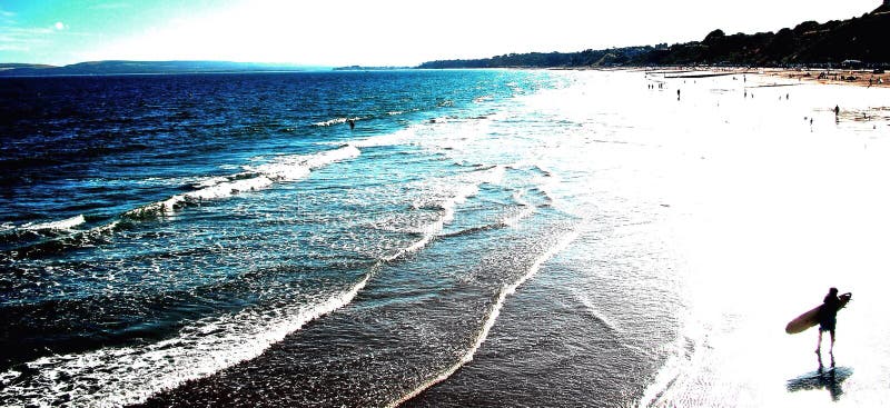 Beach surfer stock image. Image of beach, summer, surfer - 42902497