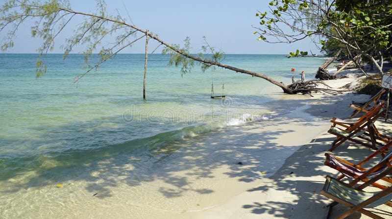Beach Swing at Starfish Beach Stock Photo - Image of green, outdoors ...