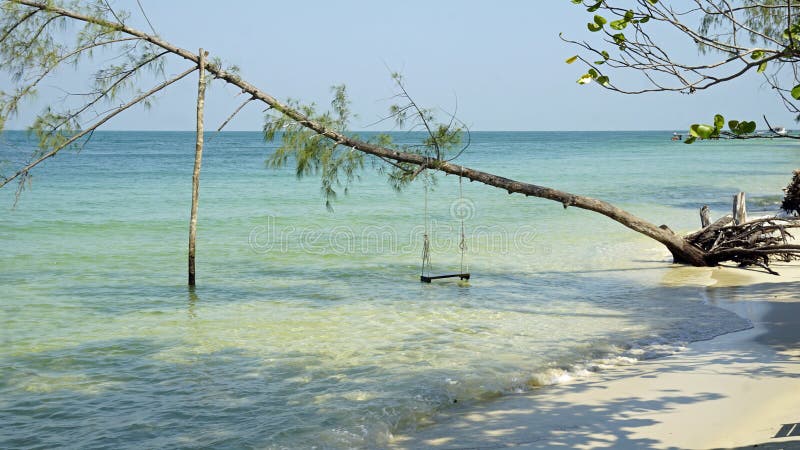 Beach Swing at Starfish Beach Stock Image - Image of travel, island ...