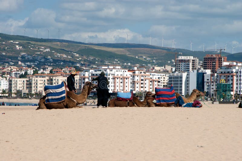 Beach of Tangier, morocco editorial stock photo. Image of sandy - 93412333