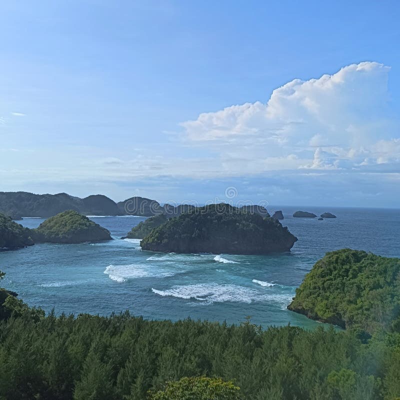 Beach teluk asmara stock photo. Image of asmara, forest - 261640088