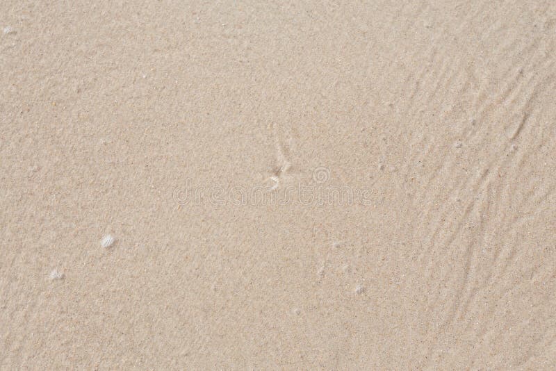 Beach texture stock photo. Image of beach, sand, coastline - 63988444