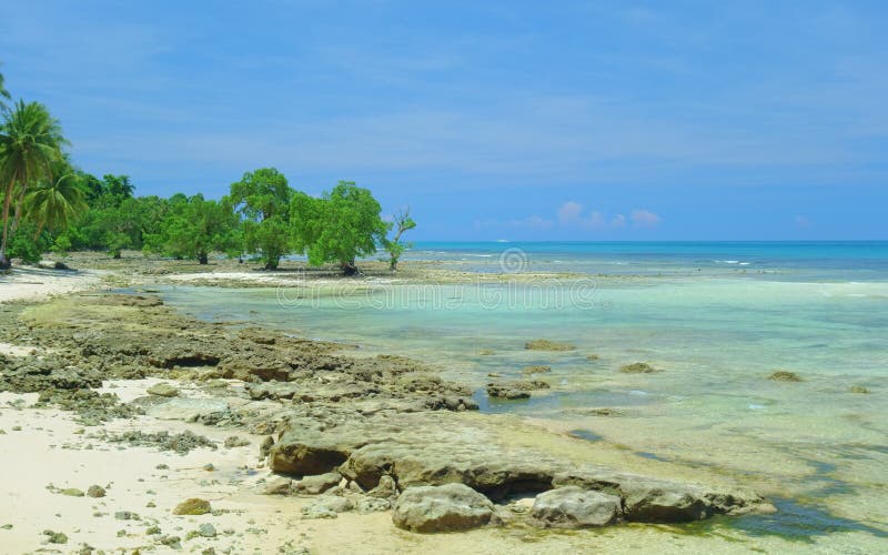 Beach at low tide stock photo. Image of beautiful, scenery - 104279442