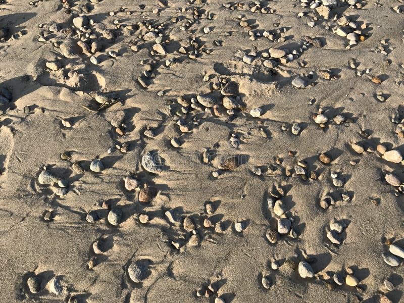 Beach at Low Tide stock photo. Image of coast, shoreline - 216287252