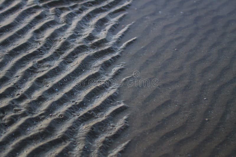 Beach stock image. Image of rhythm, sunrise, daybreak - 40876991