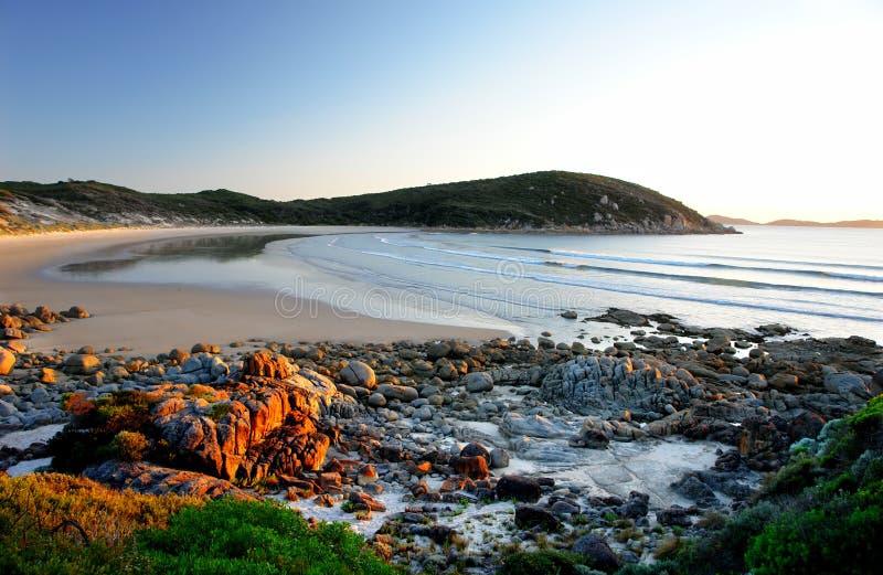 Beach Time stock photo. Image of forest, coastline, victoria - 4546752