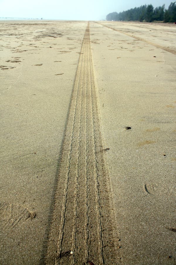 Beach Tire Track stock image. Image of long, sand, straight - 14223647