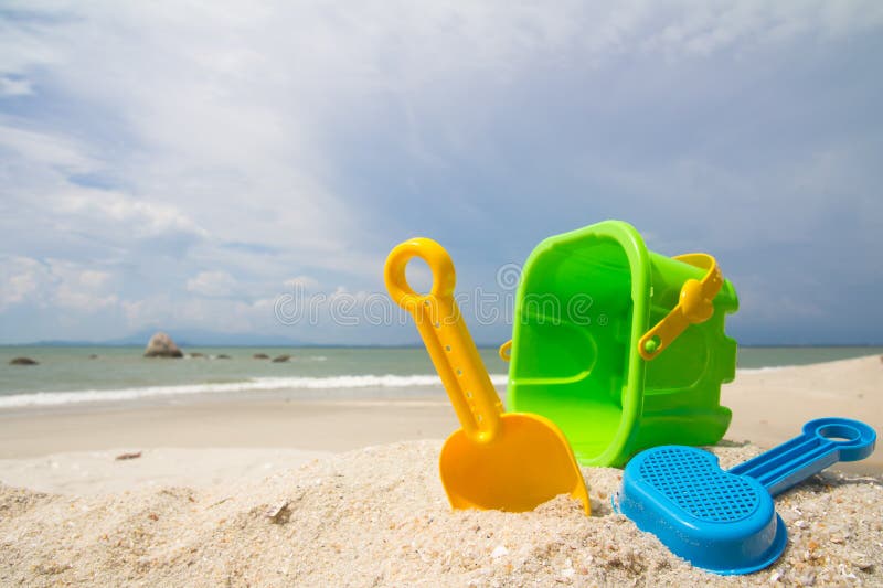 Seashells on beach stock photo. Image of coast, seashells - 5339834