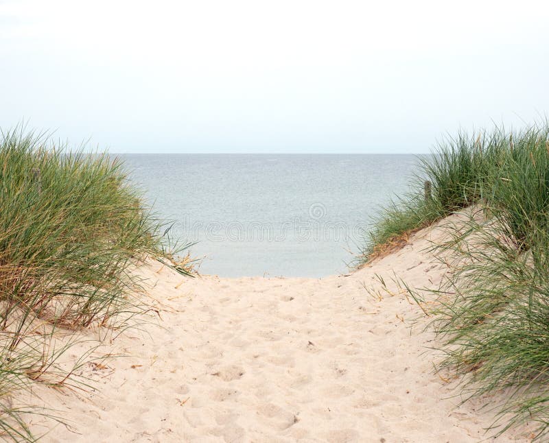 Beach Transition To the Baltic Sea Stock Photo - Image of recovery ...
