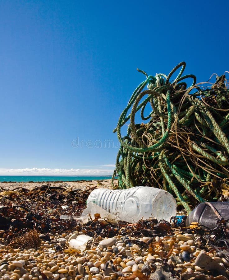 100+ Beach trash Free Stock Photos - StockFreeImages