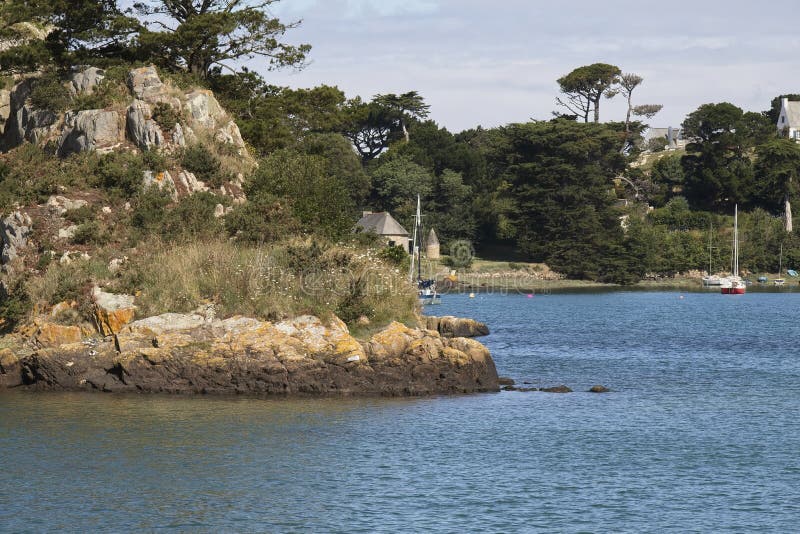 Beach with trees stock photo. Image of plant, river - 207096224