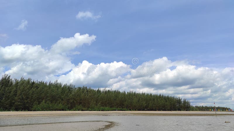 Beach, Trees, Cloud and Blue Sky Stock Image - Image of beach, trees ...