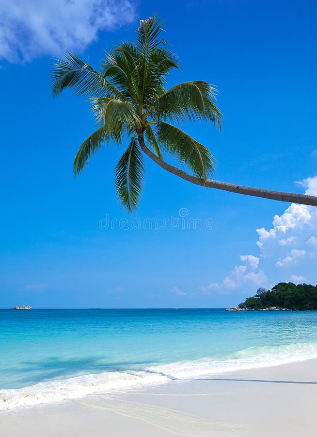 Beach on a tropical island stock image. Image of sandy - 18335541