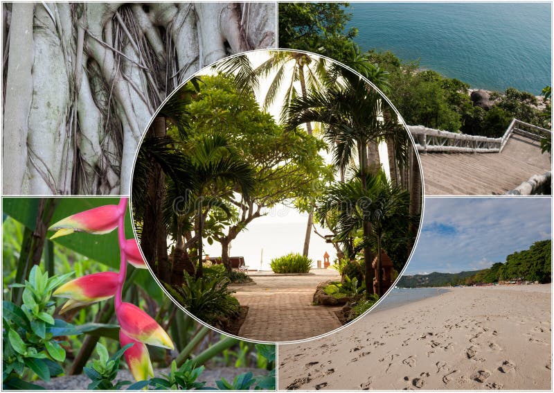 Beach on the Tropical Island. Thailand. Flowers. Collage Stock Image ...
