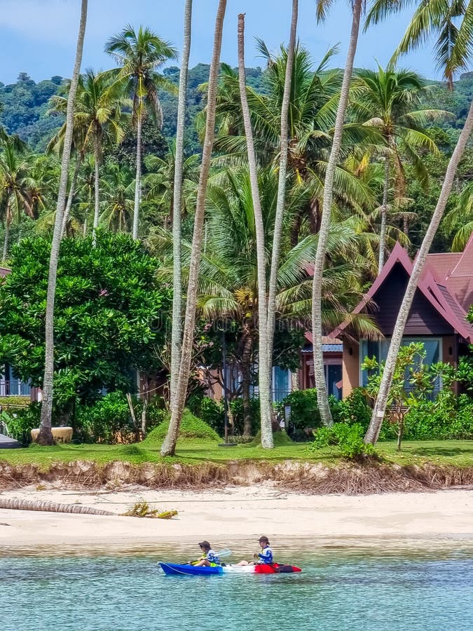 Beach Tropical Vibes, Thailand Stock Image - Image of estate, tree ...