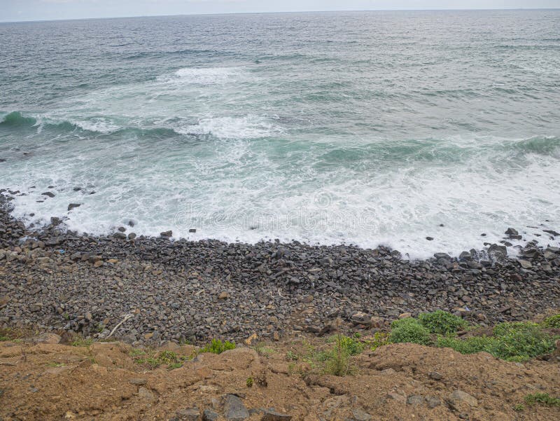 Beach on the Turkish Black Sea. Stock Image - Image of dead, bones ...