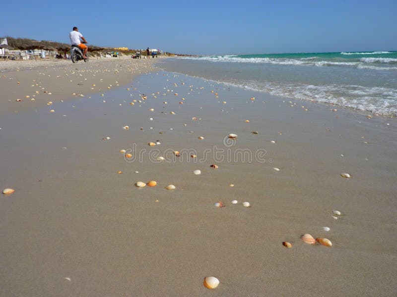 Beach stock photo. Image of tunisia, luxus, shells, tropical - 48452866
