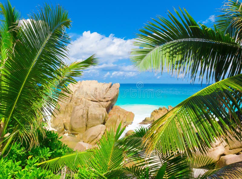 Beach view stock photo. Image of jungle, scene, serenity - 20414708