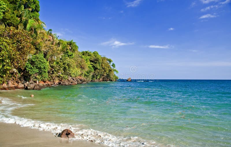 Beach view 6 stock image. Image of travel, landscape, palm - 2374647