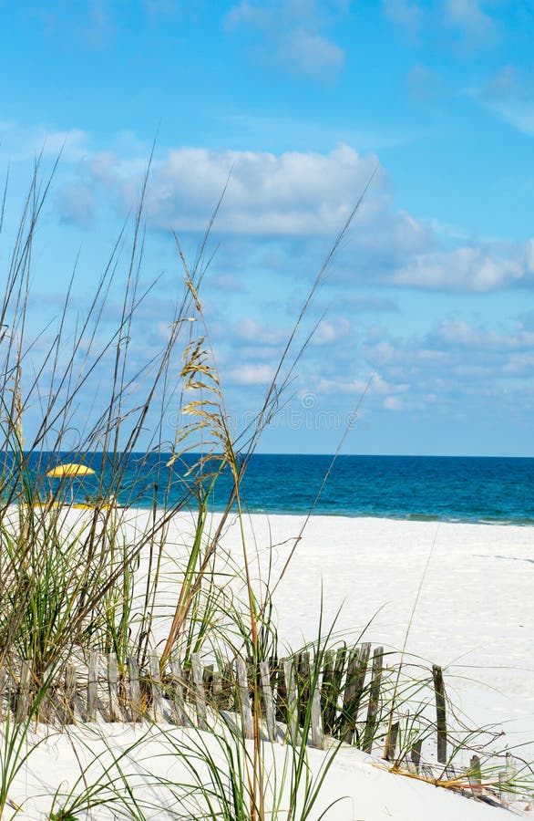 Beautiful Alabama Scenery stock image. Image of states - 16662039