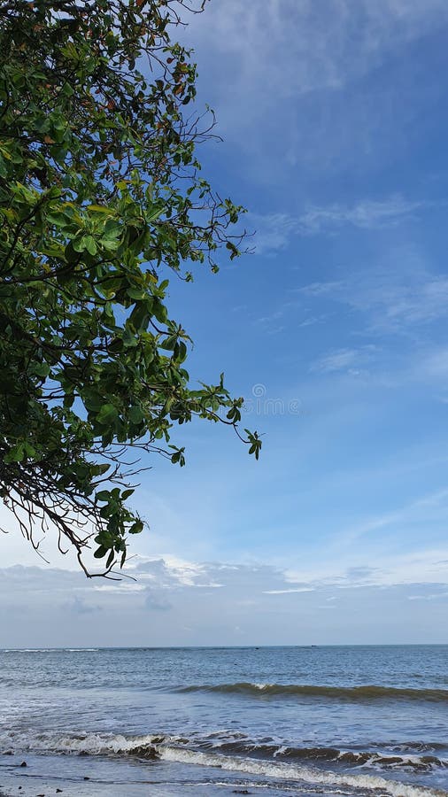 Beach View with the Blue Sky and Tree Stock Image - Image of beach ...