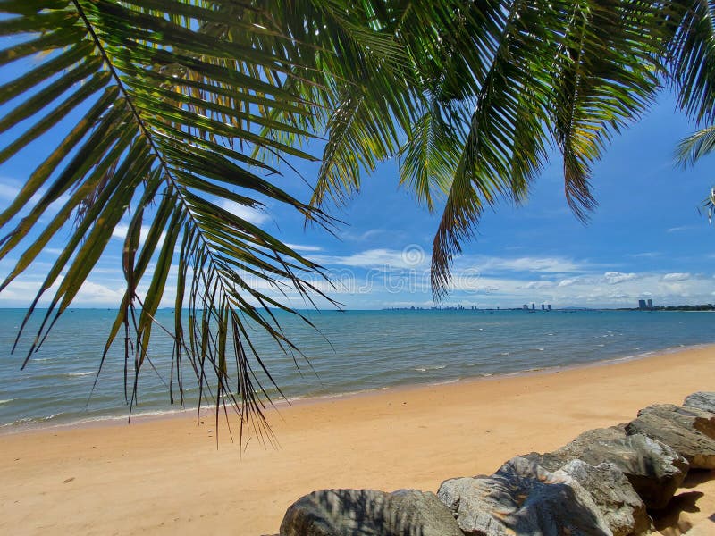 Beach View, Cool Breeze, Fresh Air Stock Image - Image of plant, water ...