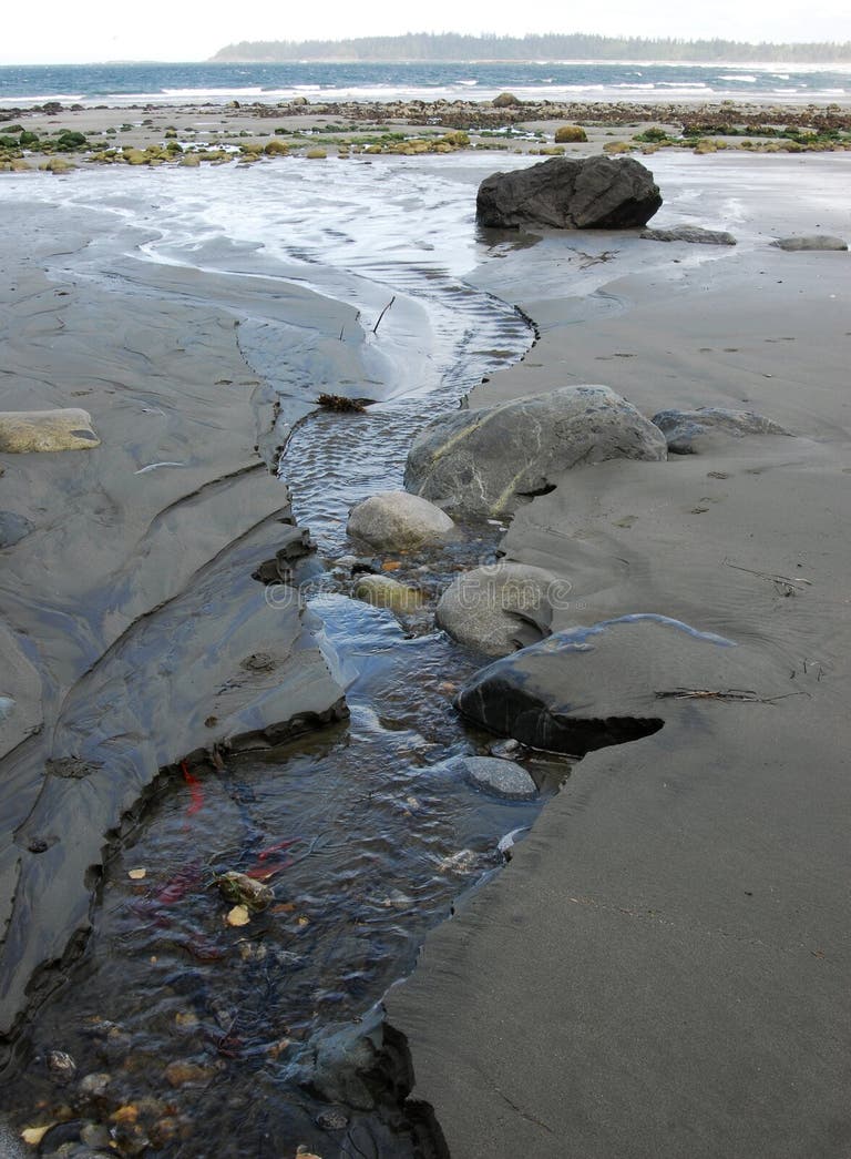 1,175 Florencia Cavallo Stock Photos - Free & Royalty-Free Stock Photos ...