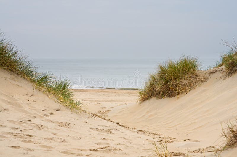 Beach View from the Path Sand between the Dunes at Dutch Coastline ...