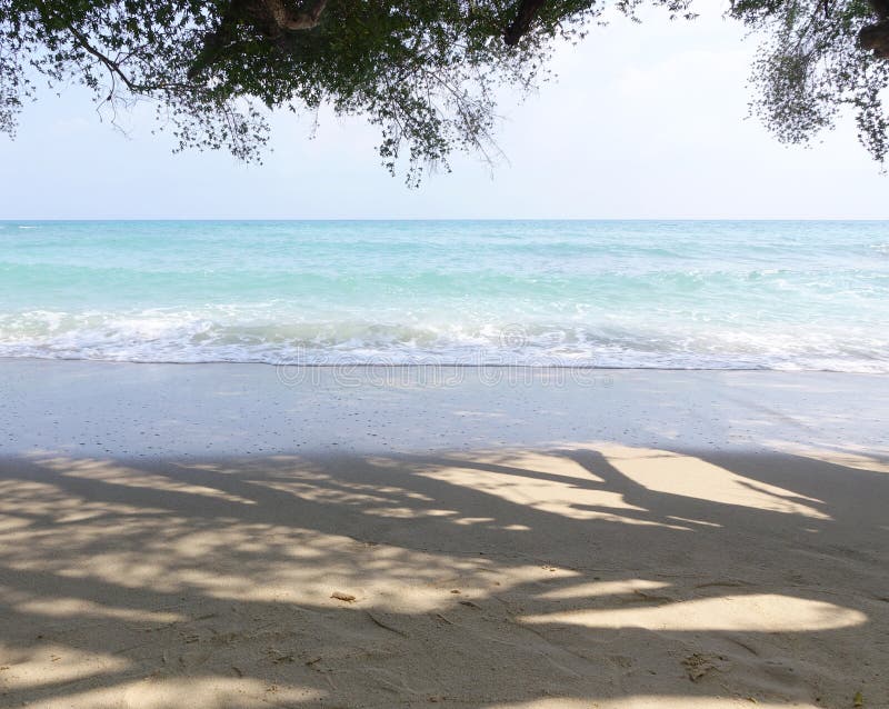Beach stock photo. Image of south, island, seascape, tree - 75363308