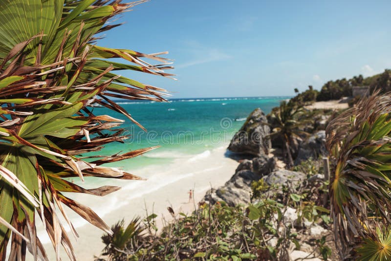 Beach view from Tulum. stock image. Image of zama, blue - 54240145