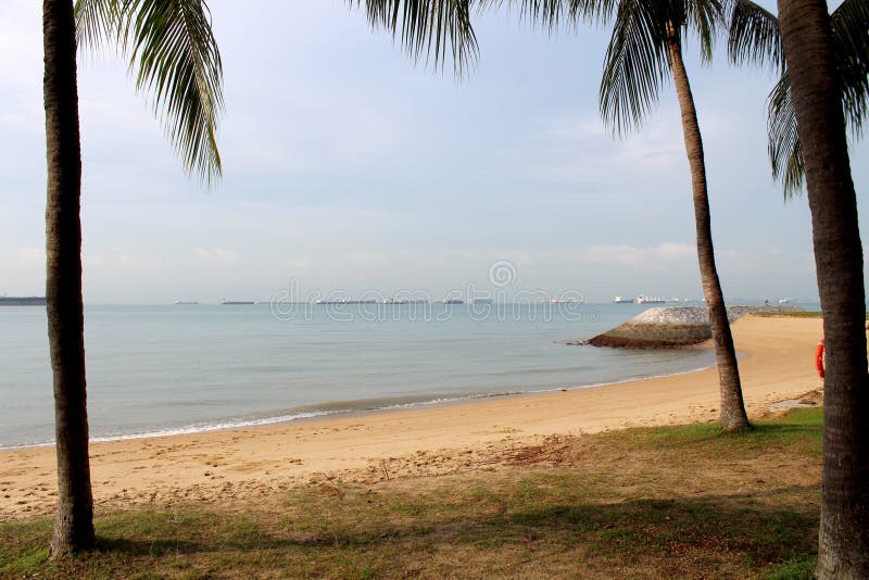 Beach View between Two Trees Stock Photo - Image of ship, standing ...