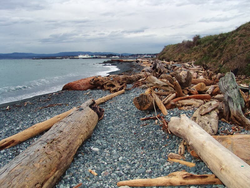 Beach view in victoria stock photo. Image of shoreline - 4360764