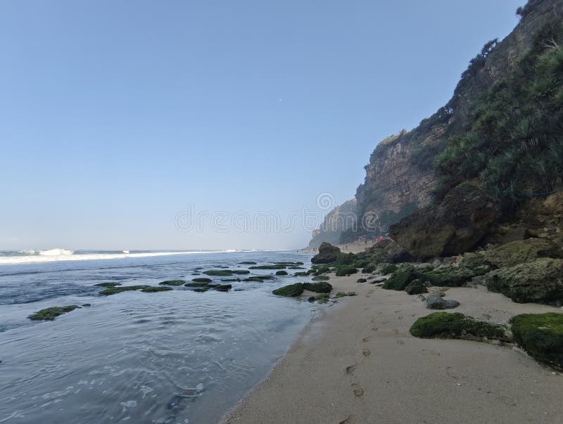 Beach View with White Sand Decorated by Plants Around the Shoreside ...