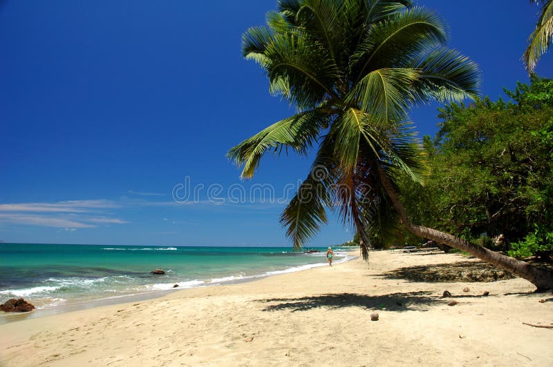 Beach Walk stock photo. Image of peaceful, ocean, puerto - 1002454