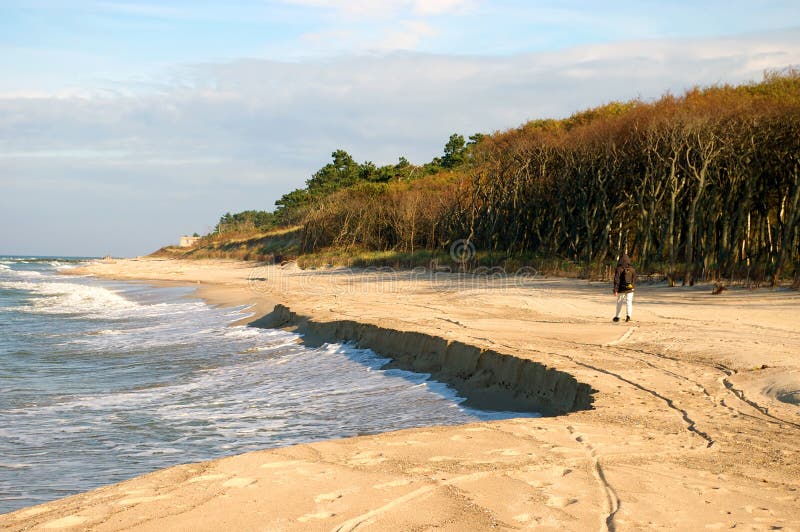 Beach walk. stock image. Image of ocean, lone, seaside - 2234439